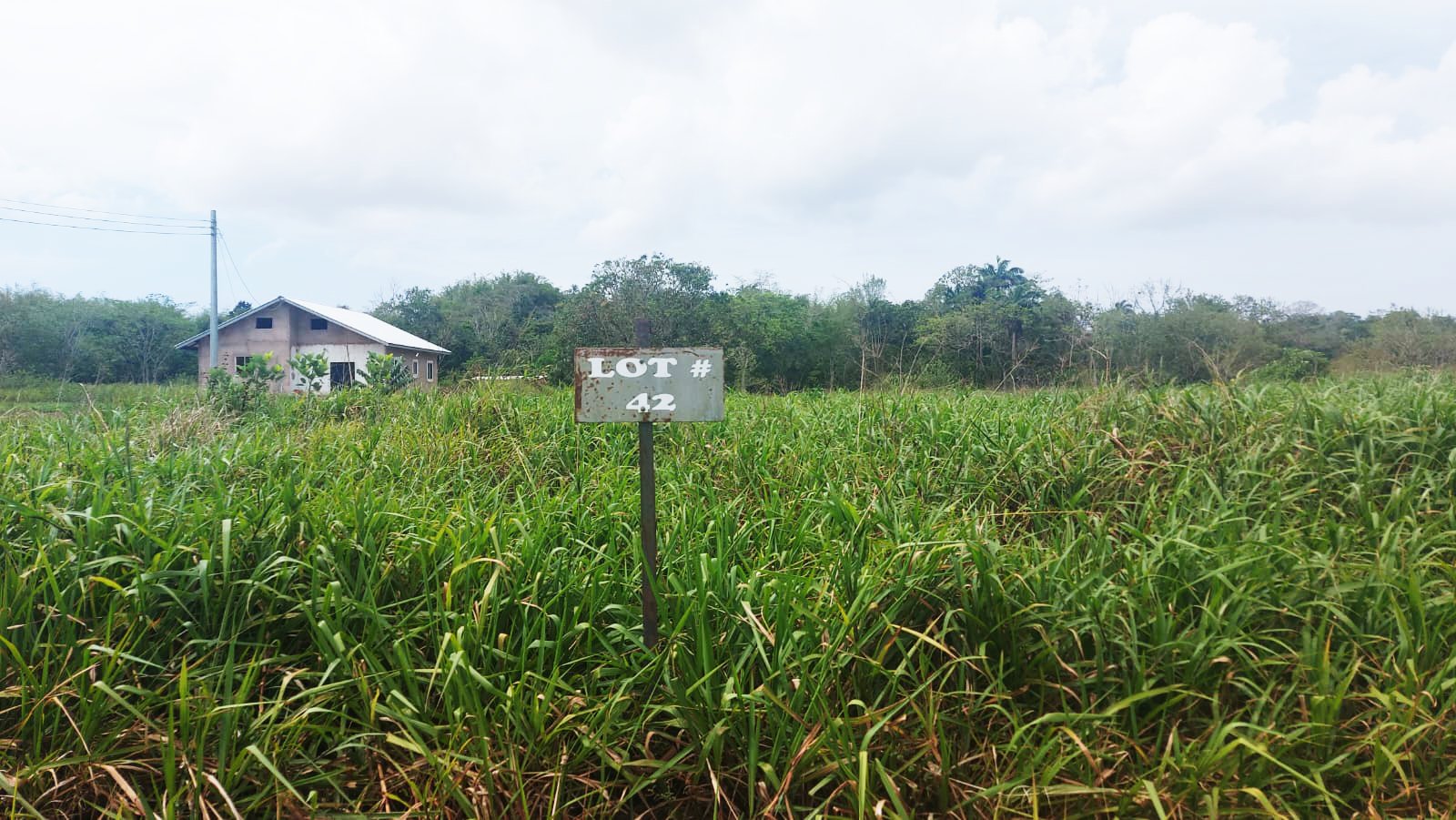 Bhagiratee Trace East, Off Lachoos Road, Penal – Veridian Realty