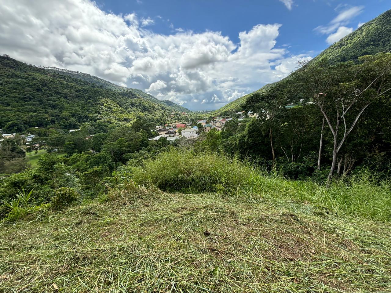 Quartz Road, Maracas Valley, St Joseph – Veridian Realty